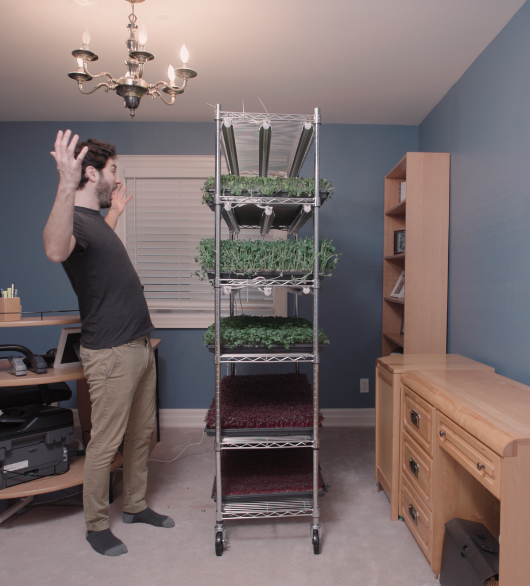 Free Webinar: How To Make $2,000 In 30 Days Or Less With Microgreens ...