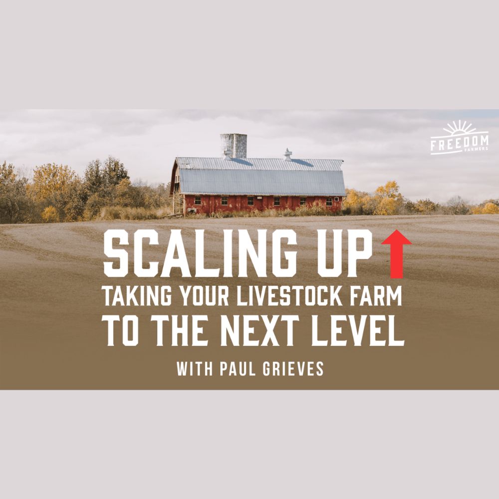 Scaling Up – Take Your Livestock Farm To The Next Level - Freedom Farmers