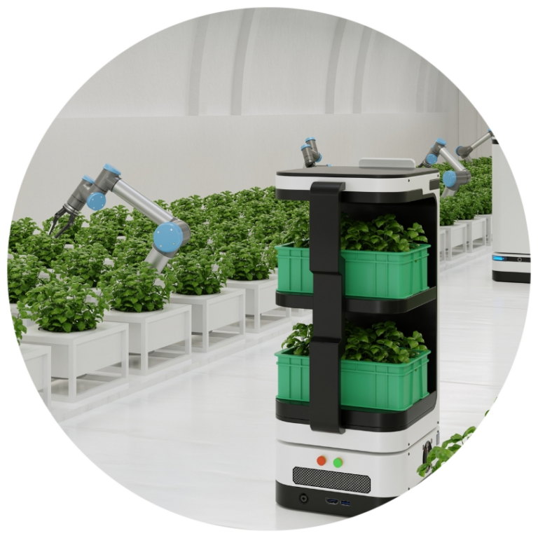The Future Of Microgreens Farming: An Inside Look At A Pro's Automated ...