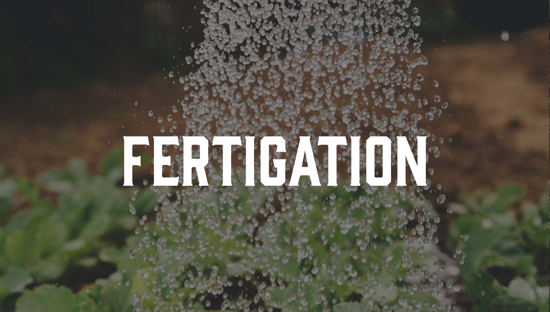 Fertigation - Freedom Farmers