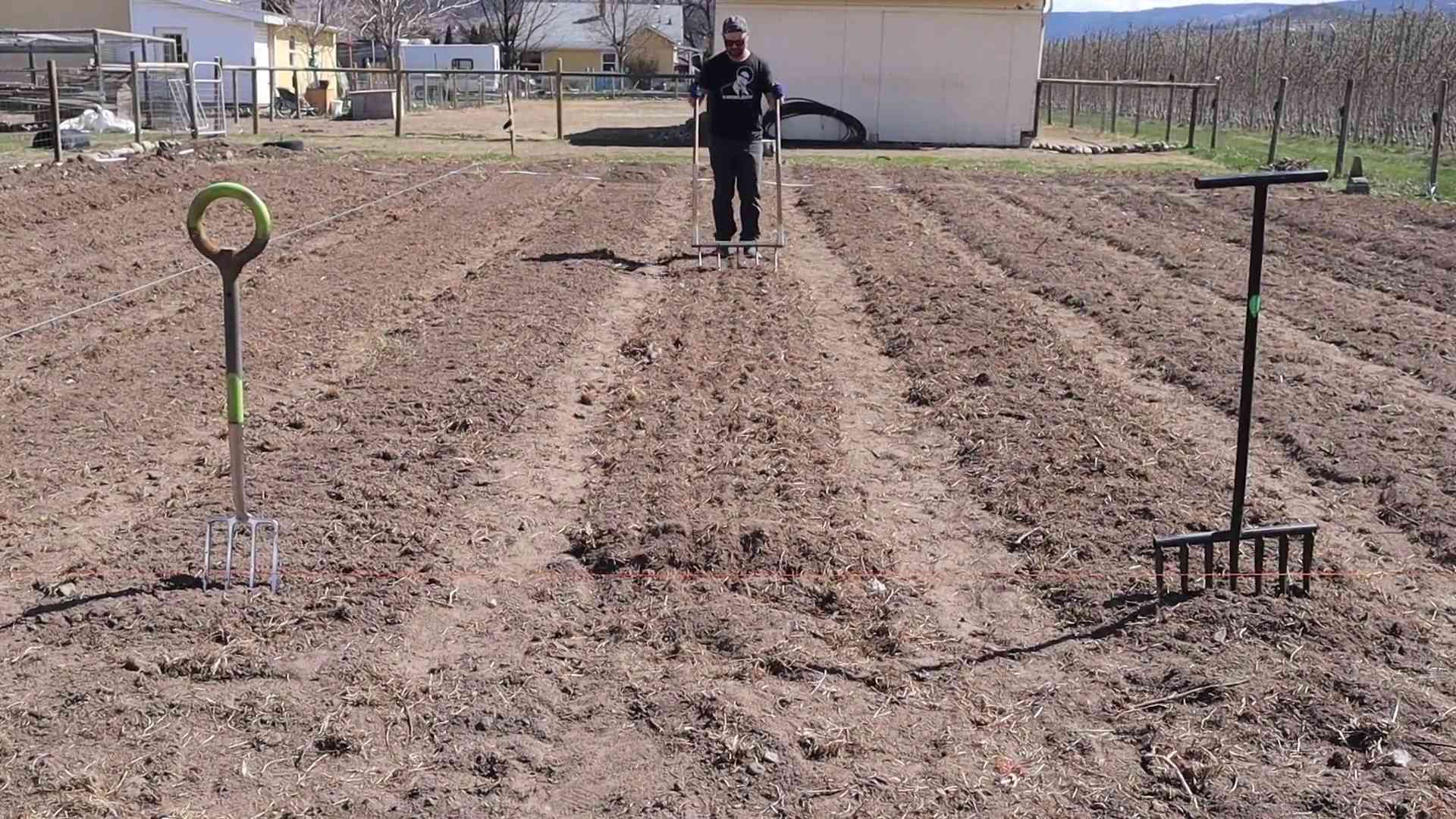 Comparing Three Types Of Forks With Curtis Stone - Freedom Farmers