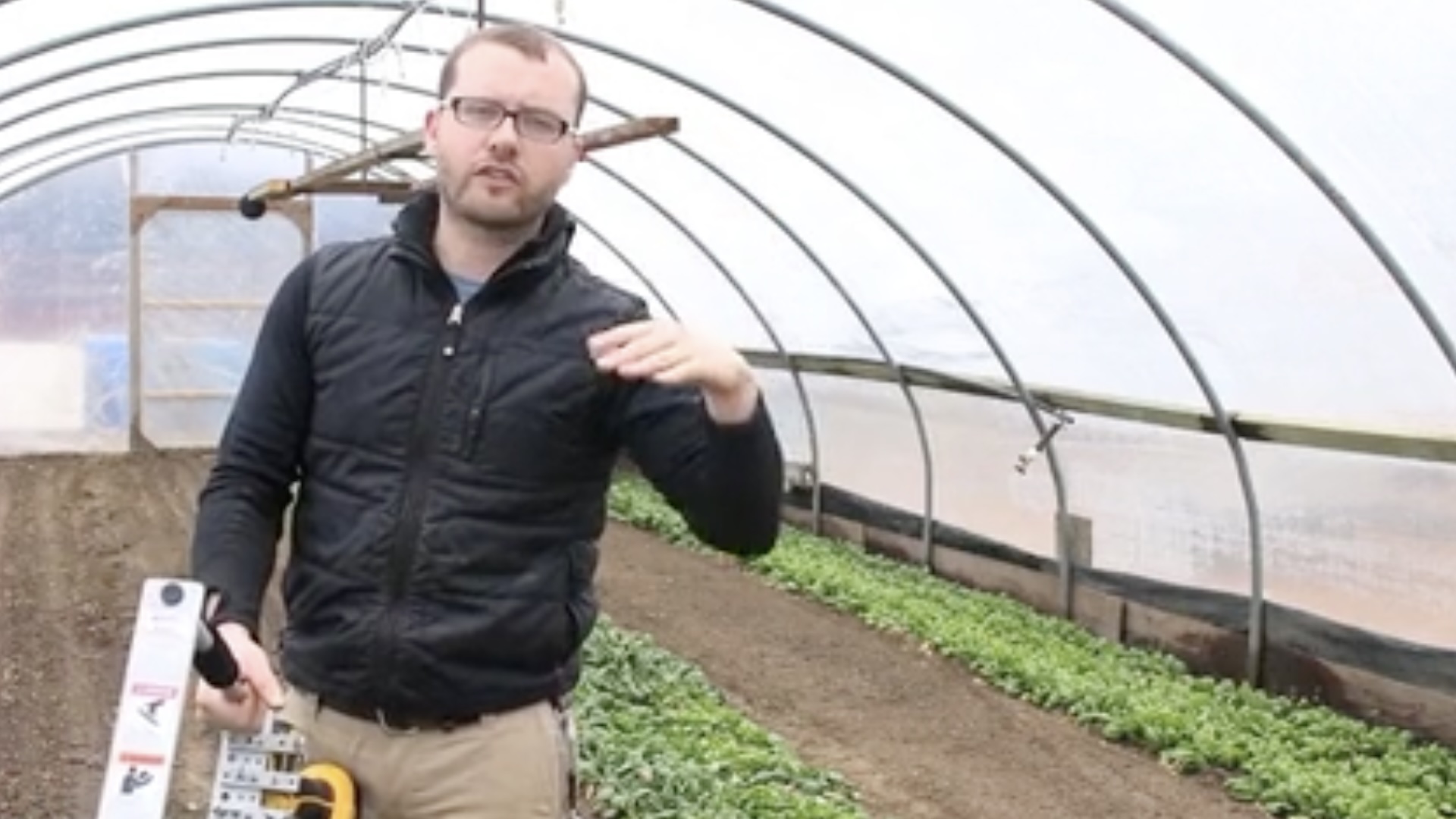Quick Cut Greens Harvester Review With Curtis Stone - Freedom Farmers